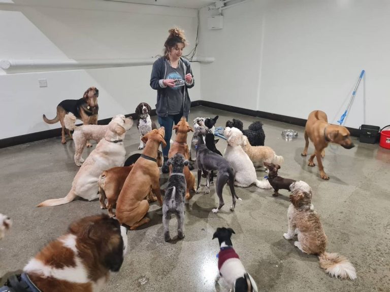 Group Photo 02 – The Barking Lot